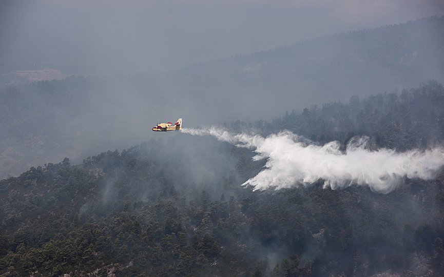Firefighters Battling Ravine Fire in Evia, Supported by Additional ...