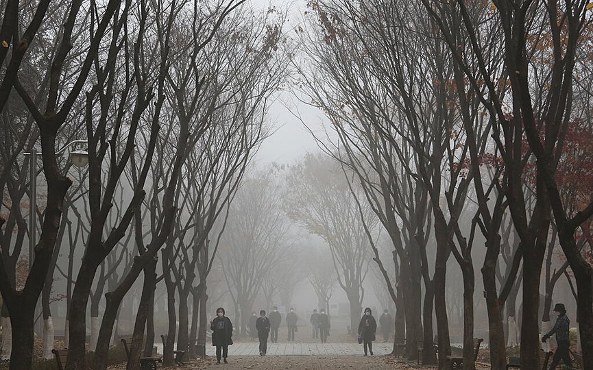 S Korea’s Daily COVID Tally Has Stayed Above 200 for a 3d Consecutive ...