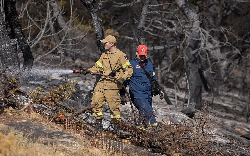 Greek Firefighters Contain Wildfire at Resort Near Athens - The ...